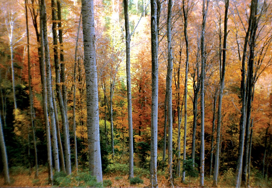 Očistimo naše planine od smeća! - Hrvatski planinarski savez